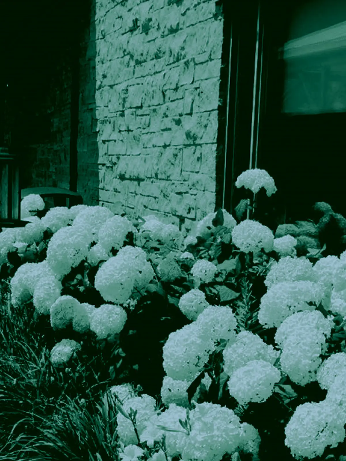 Norview Lodge | Norfolk County